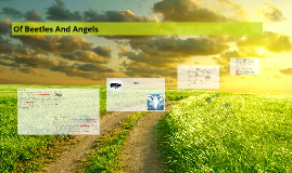 Of Beetles And Angels by megan stinchfield on Prezi