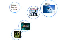 Lanac ishrane u moru by on Prezi