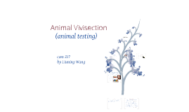 Animal Vivisection and its advantages and disadvantages by Liuning Wang ...