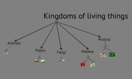 Five Kingdom Concept Map by James Zambelli on Prezi