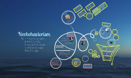 Identification as a Process of Incidental Learning by Maggie Barranger ...