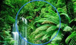 Sloth Timeline/Evolution by Finnella Schreenan on Prezi