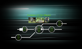 Evolution Of The Alligator by Joe Groom on Prezi