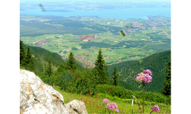 Das Vorland im Osten und Südosten by Tamara Pittracher on Prezi