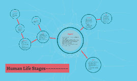Human Life Stages - Flow Chart by Andrea Cheon on Prezi