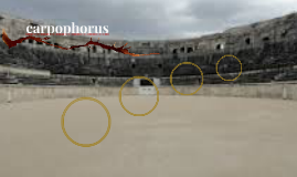 Carpophorus by Noah Padgett on Prezi