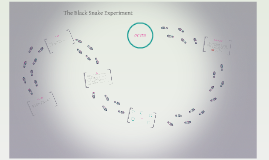 The Fire Snake Experiment by Adam West on Prezi