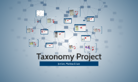 Taxonomy Project by Marissa Phillips on Prezi