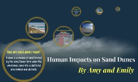 Human Impacts on Sand Dunes by Amy Wright on Prezi