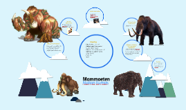 Mammoeten by Emine Ve Mehmet on Prezi