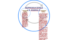 REPRODUCEREA AASEXUATA LA ANIMALE by nutescu maria on Prezi
