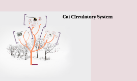 Cat Circulatory System by Bris Pedroza on Prezi