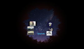 Polynomial Functions in Real Life by Stefan Kudla on Prezi