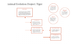 Animal Evolution Project: Tiger by Austin Alvarez on Prezi