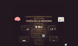 FASES DE LA MEMORIA by Dani Montalvo Londoño on Prezi