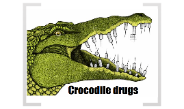 Sieuwke Bosma on Prezi