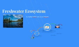 Standing Freshwater Ecosystems by Sophi Selliris on Prezi