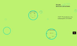 Joy Luck Club Final Project - Lena St. Clair by Taylor Stogsdill on Prezi