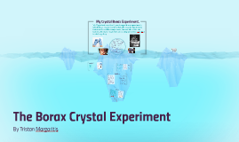 My Borax Crystal Experiment. by Tristan Margaritis on Prezi