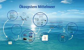 Ökosystem Mittelmeer by Emma Hubner on Prezi