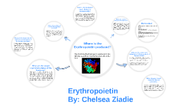 Cold Case Murder of Krystal Beslanowitch by Chelsea Ziadie on Prezi
