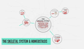 THE SKELETAL SYSTEM & HOMEOSTASIS EXPLAINED by Jessica Kei Moncada on Prezi