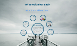 White Oak River Basin by Ariana Weaver on Prezi