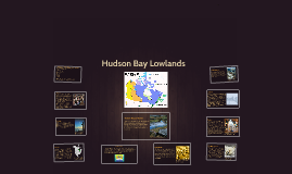 Hudson Bay Lowlands by Angad Grewal on Prezi