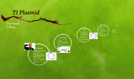 Descriptive vs. Substantive Representation by Tim Hood on Prezi