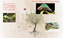 historia del camaleon by santiago erazo on Prezi