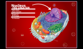 The Nucleus Cell Campaign by Dylan Vanmali on Prezi
