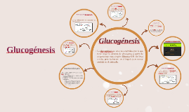 Glucogénesis by Miriam Rayas on Prezi