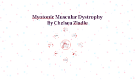 Cold Case Murder of Krystal Beslanowitch by Chelsea Ziadie on Prezi