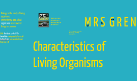 MRS GREN by Donna Kielbasa on Prezi