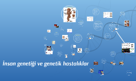 YJET DHE YJËSITË by Jeta Dallku on Prezi