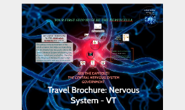 Travel Brochure: Nervous System by Vy Tran on Prezi