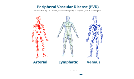 Physical Therapy with Peripheral Vascular Disease (PVD) patients. by ...