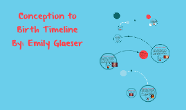 Conception to Birth Timeline by Emily G. on Prezi