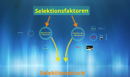 Selektionsfaktoren by Moritz Lüdtke on Prezi