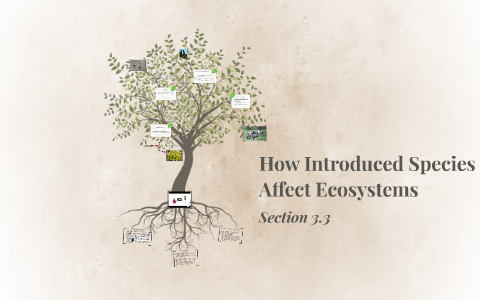 How Introduced Species Affect Ecosystems by Jade Burnand on Prezi