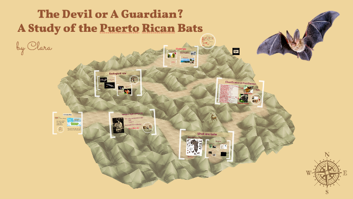 A Study of the Puerto Rican Bats by JUNYI ZHAO on Prezi