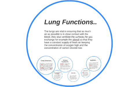 Lung Structure and functions by Sonia Ellis on Prezi