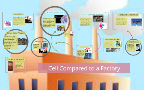 Cell Compared to a Factory by trichelle wright on Prezi
