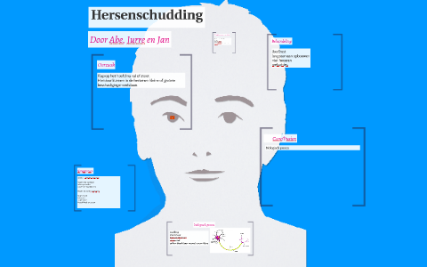 Hersenschudding by Jan Bosma on Prezi