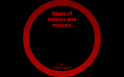 Steps of mitosis and meiosis by conner gustin on Prezi