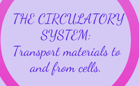 THE CIRCULATORY SYSTEM by kimberly persaud on Prezi