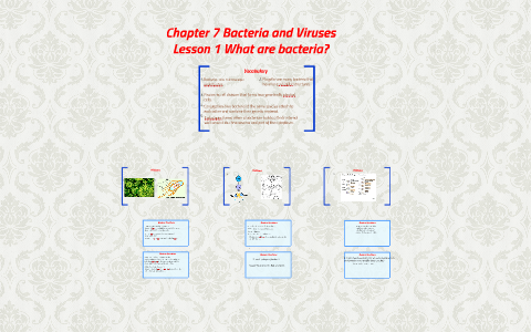 Chapter 7 Bacteria and Viruses by byron arriola on Prezi