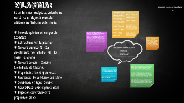 xilacina: by Ana Mendoza on Prezi