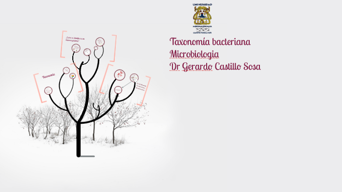 Taxonomia bacteriana FMVZ BUAP by Carlos Gerardo Castillo Sosa on Prezi