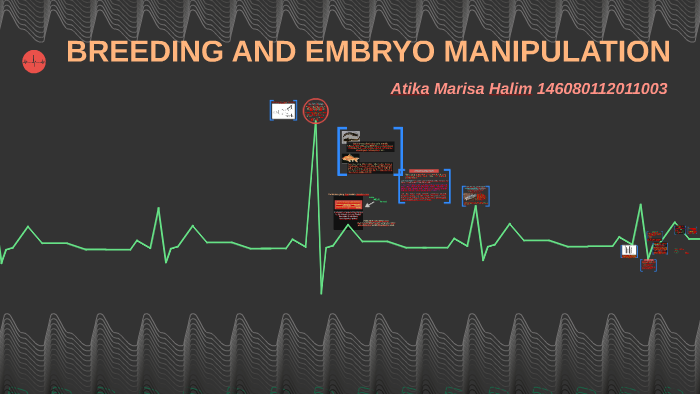 BREEDING AND EMBRYO MANIPULATION by Christin Ayu Segarati on Prezi